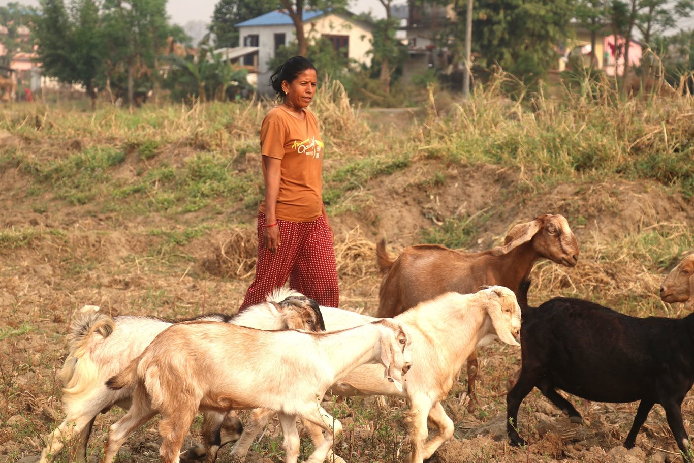 Strengthening families, Securing futures - SOS Children's Villages Nepal